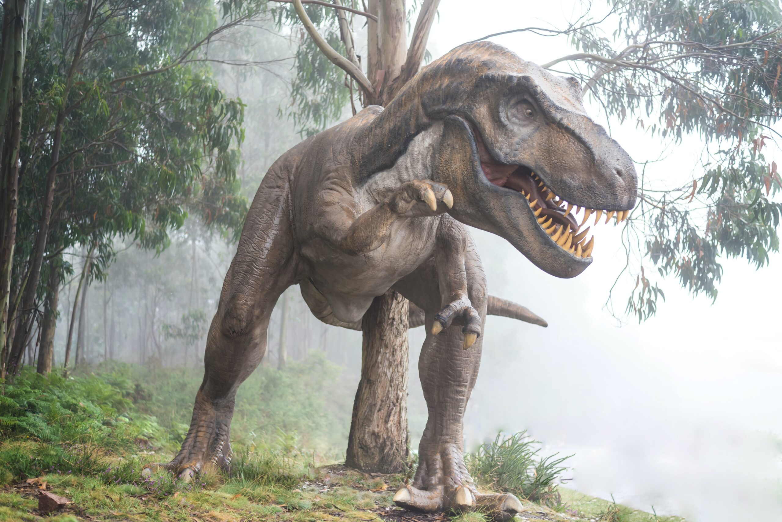 9 Extinct Megafaunas : Giant animals that ruled the world before humans